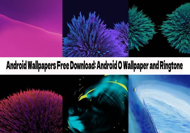 Android Wallpapers Free Download: Android O Wallpaper and Ringtone