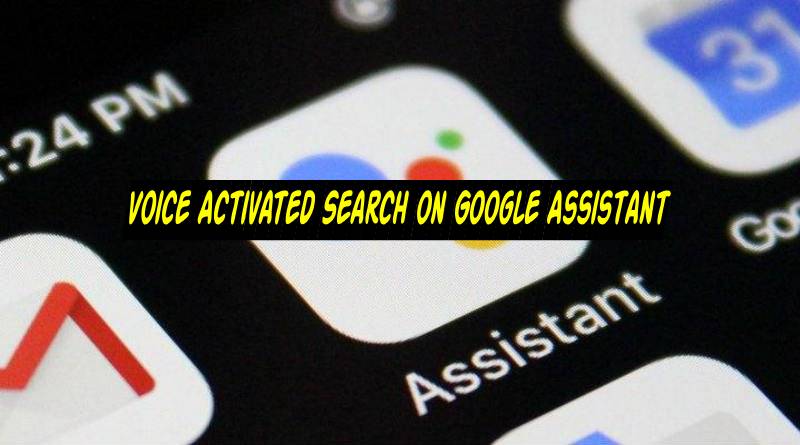 Voice Activated Search on Google Assistant